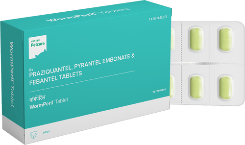 echinococcus multilocularis treatment