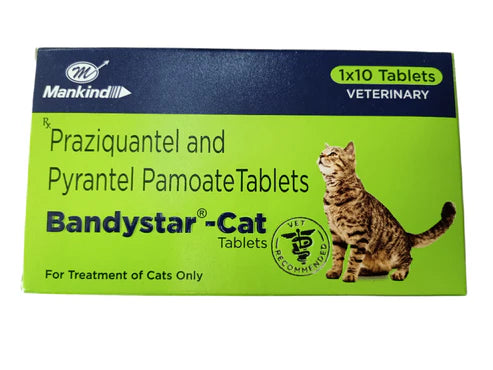 Bandystar Cat Tablet 10 Tab