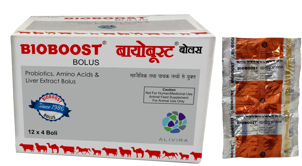 Biboost Bolus 4 Units