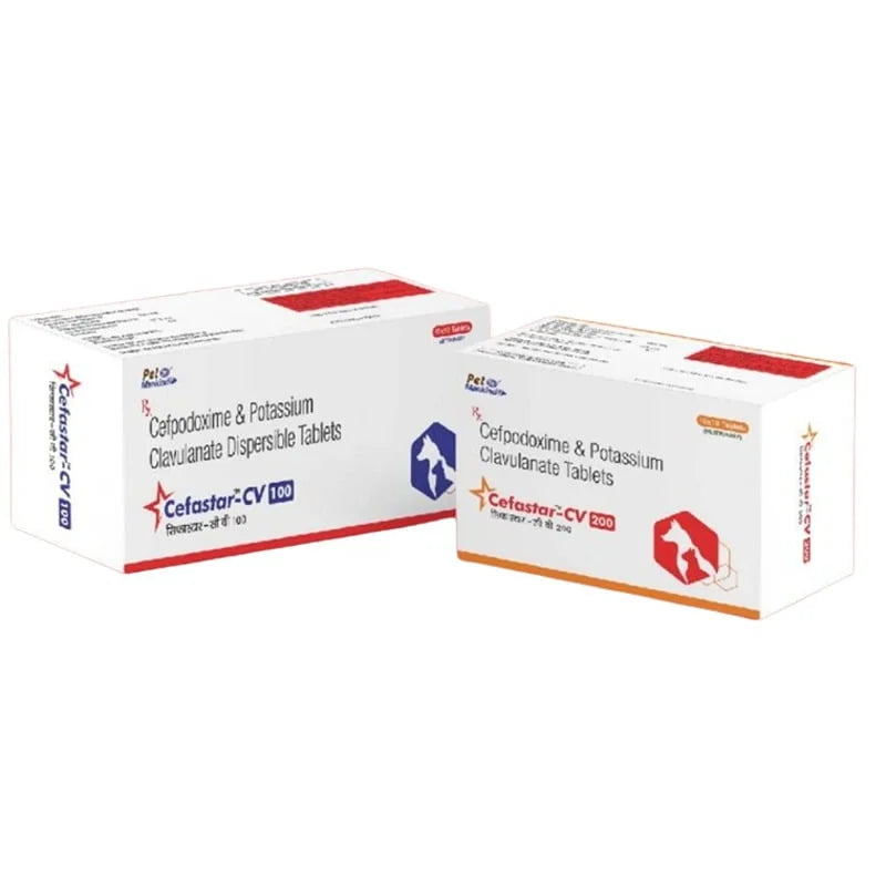 Cefastar CV Tablet 10 Tab