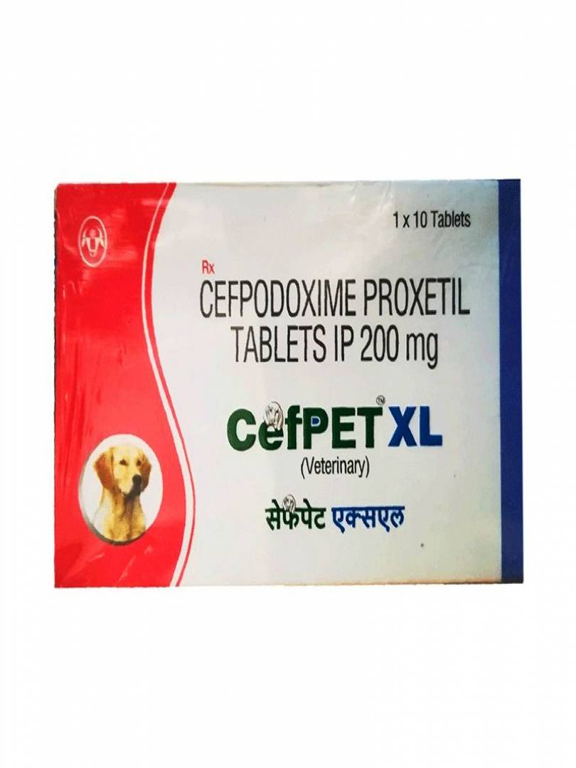 Cefpet XL Tablet 10 Tab