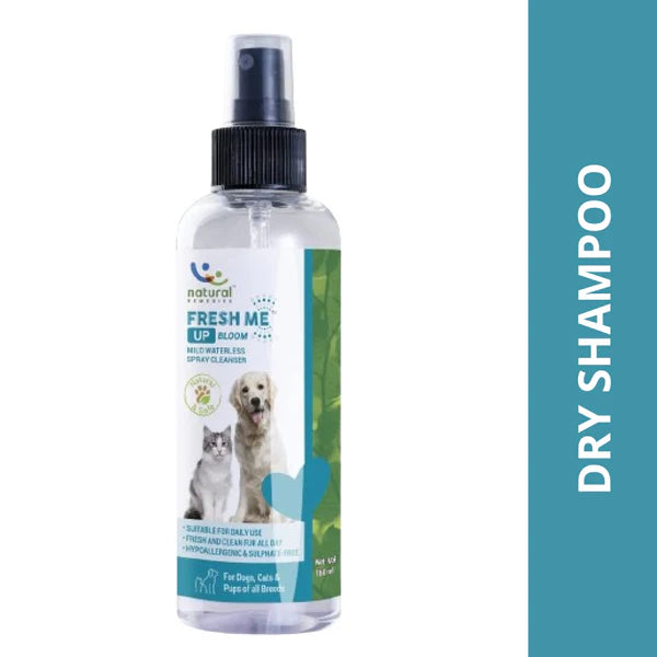 Fresh Me Up Bloom Dry Shampoo 160ml