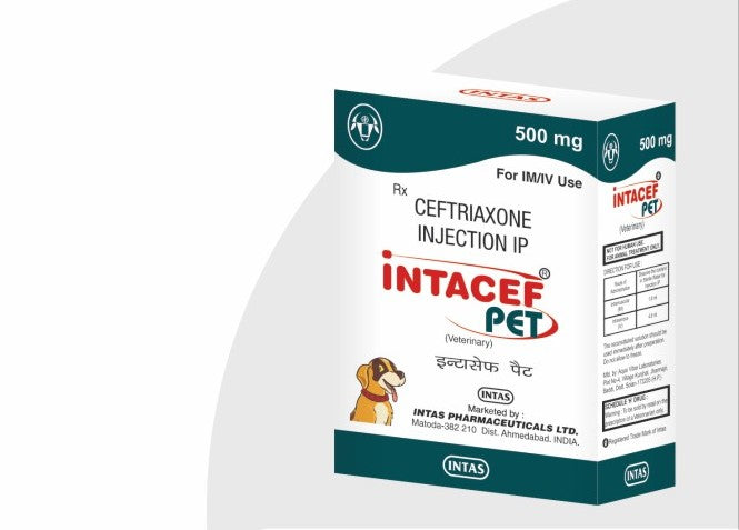 Intacef Injection