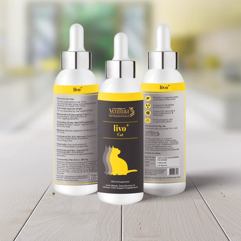 Livo Plus Cat Syrup 100ml