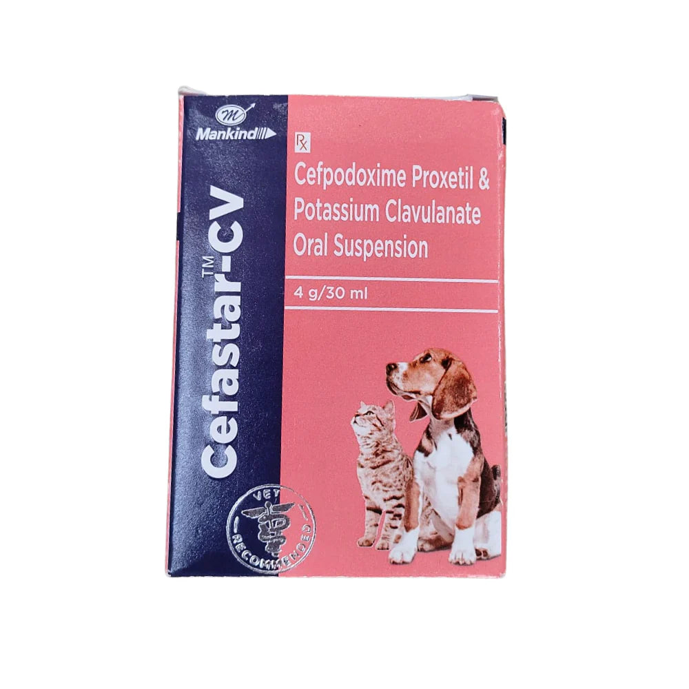 Cefastar CV Oral Suspension 30ML