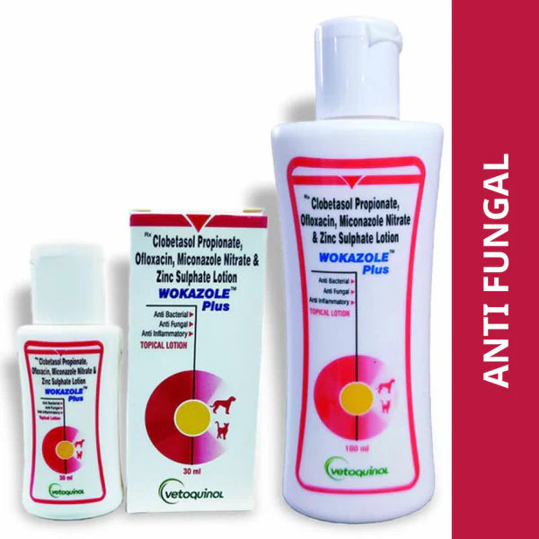 WOKAZOLE LOTION 100 ML