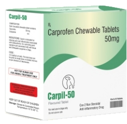 Carpil Tablet (1 strip of 10 Tabs)