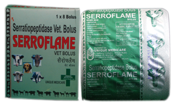 Serroflame Bolus 8 UNITS