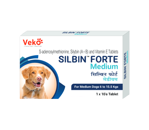 Silbin Forte Tablets For Dogs 10 Tabs