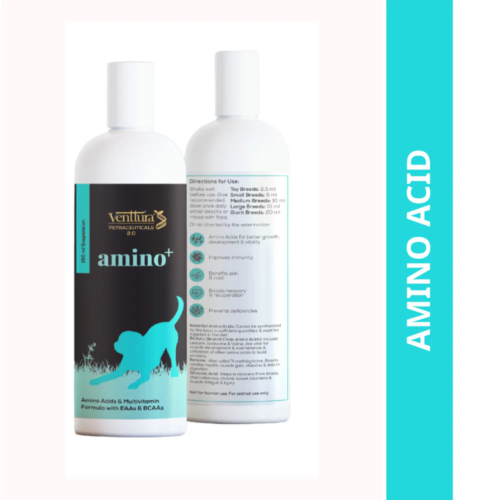 Amino Plus Dog Syrup