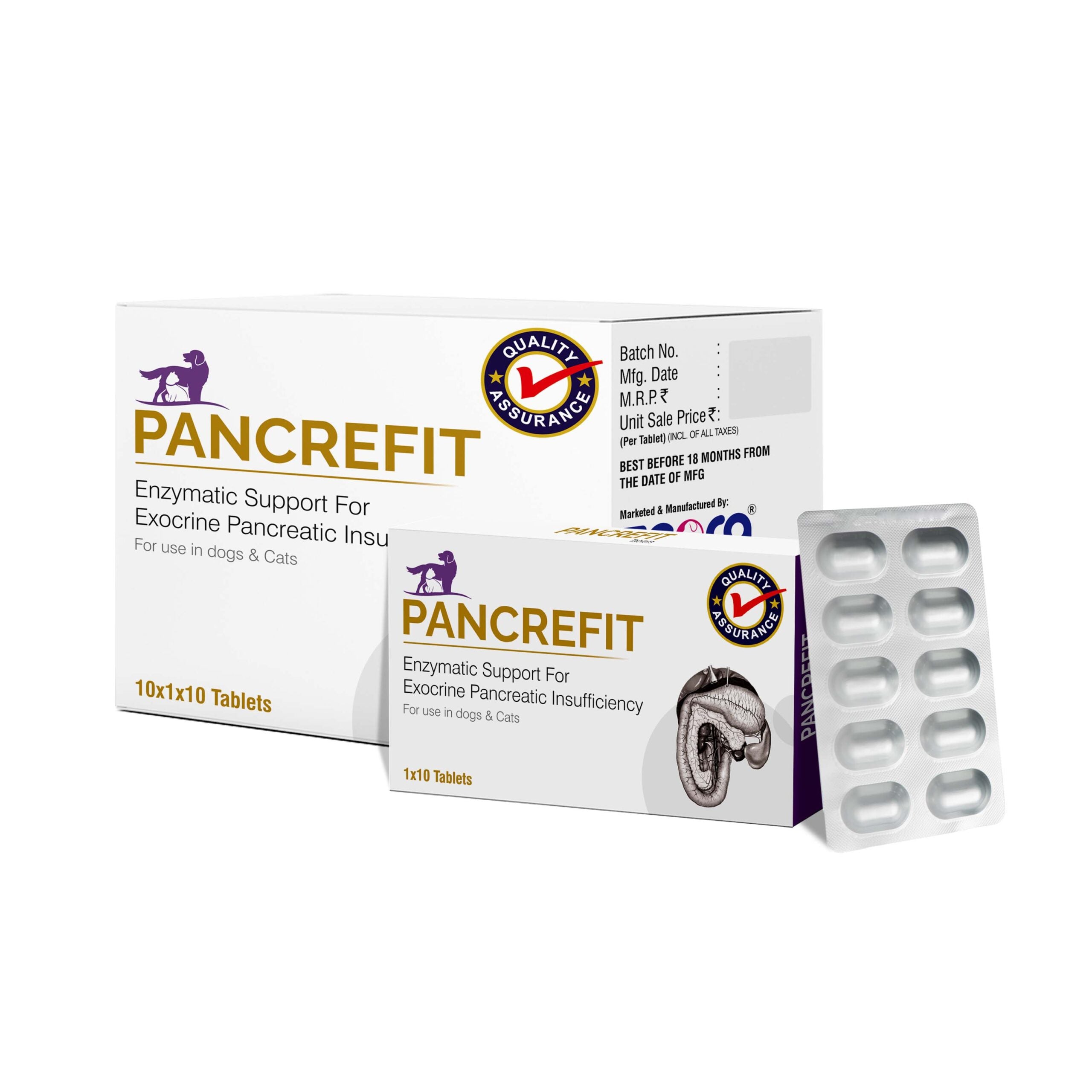 Pancrefit Tablets 1x10 Tabs