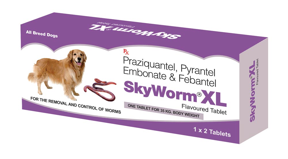 SkyWorm XL Tablets 2 Tabs