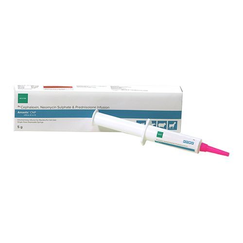 Amastic CNP Infusion 5GM