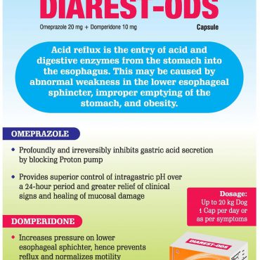 Diarest ODS Capsule 10Cap