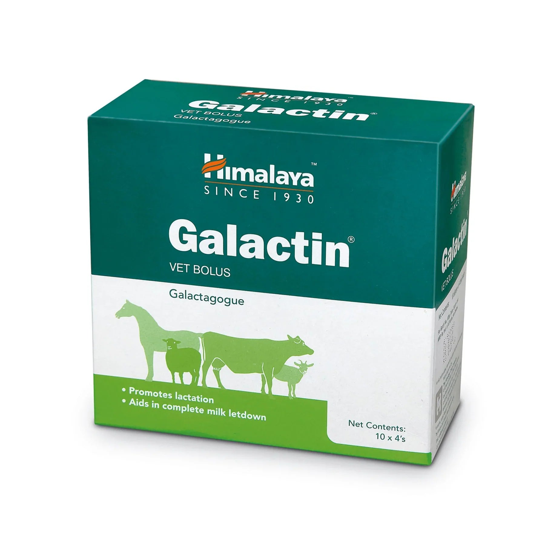 Galactin Vet Bolus 4 Units
