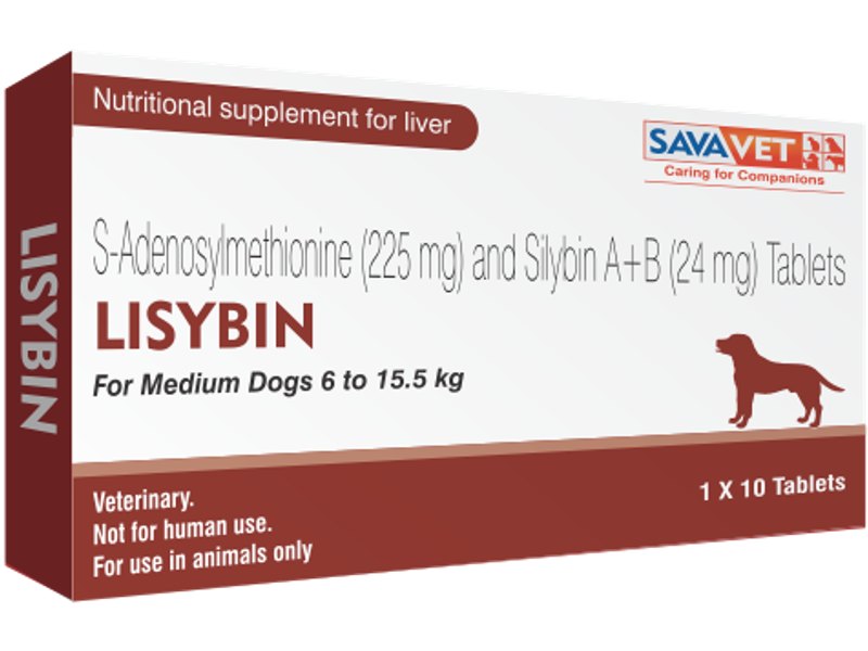 Lisybin Tablet 10 Tab