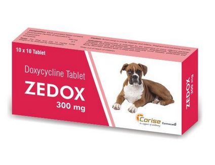Zedox Tablet 10Tab